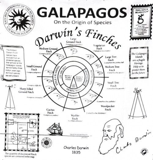 Table - Darwin's Galapagos Finches - Origin of the Species - World Bird ...